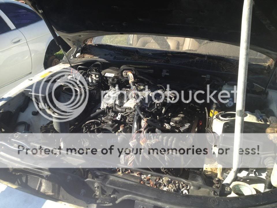 sc400 build: 5spd conversion and 1jzgte single turbo swap! | Supra Forums