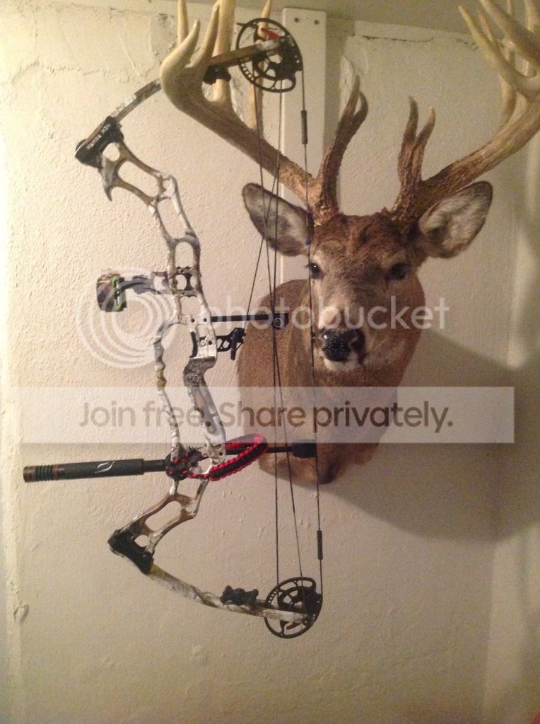 My deer killer for 2014 | Archery Talk Forum